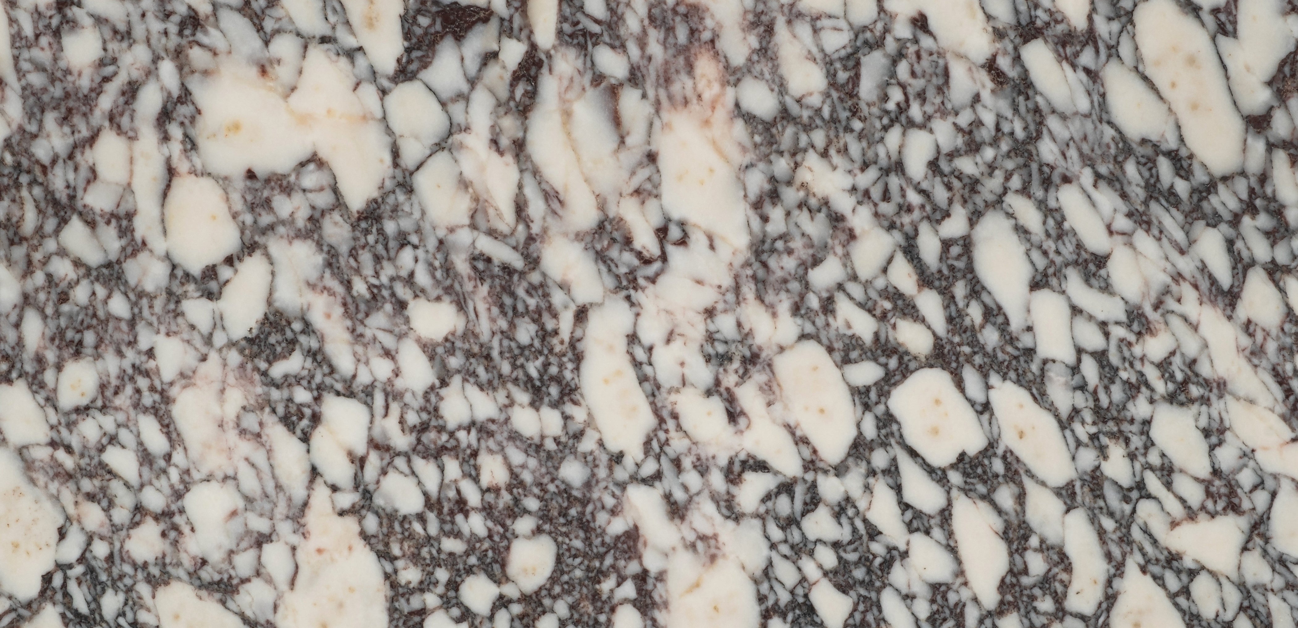 Arabescato Marble Collection Models & Prices