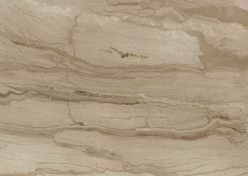 Elegant Beige