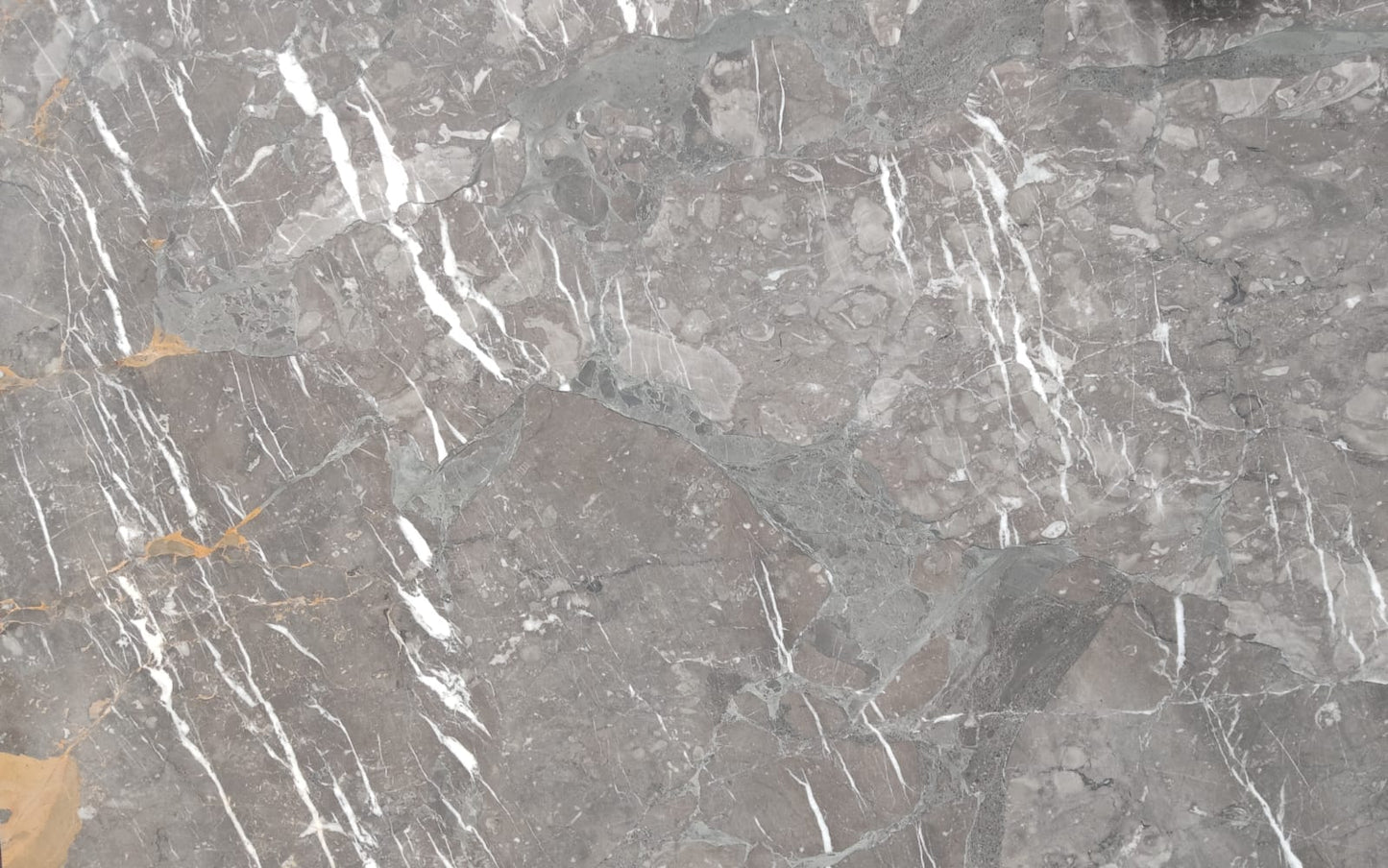 Monarch Grey Marble Slabs